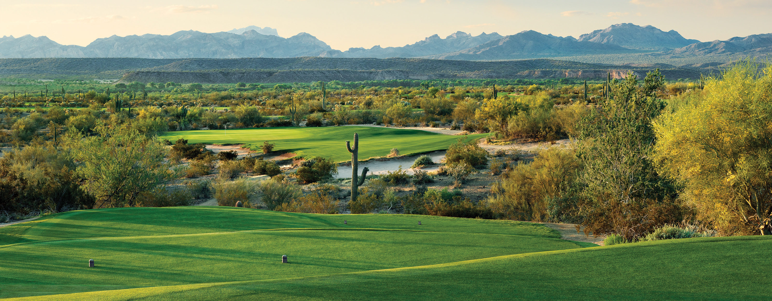 Desert Golf Wallpaper