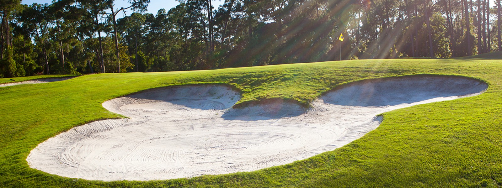 The Magic Kingdom of Golf • Kingdom Magazine